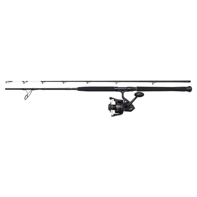 Wrath II Boat Spinning Combo – PENN EU